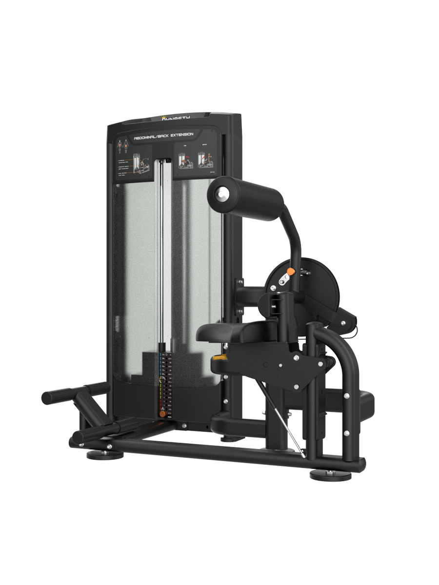 Abdominal & Back Extension Machine | Dynasty Fitness – The Dynasty Fitness