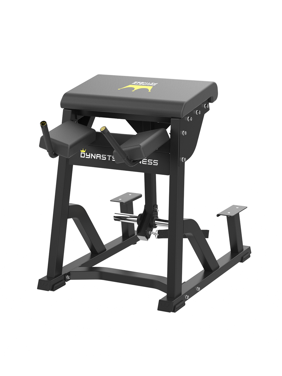 Reverse Hyper Machine - Plate Loaded | Dynasty Fitness – The Dynasty ...